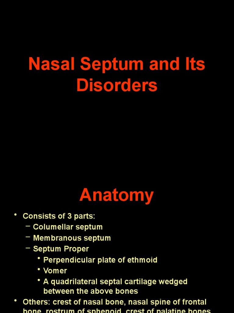 Anatomy and Disorders of the Nasal Septum | PDF | Human Nose | Rhinology