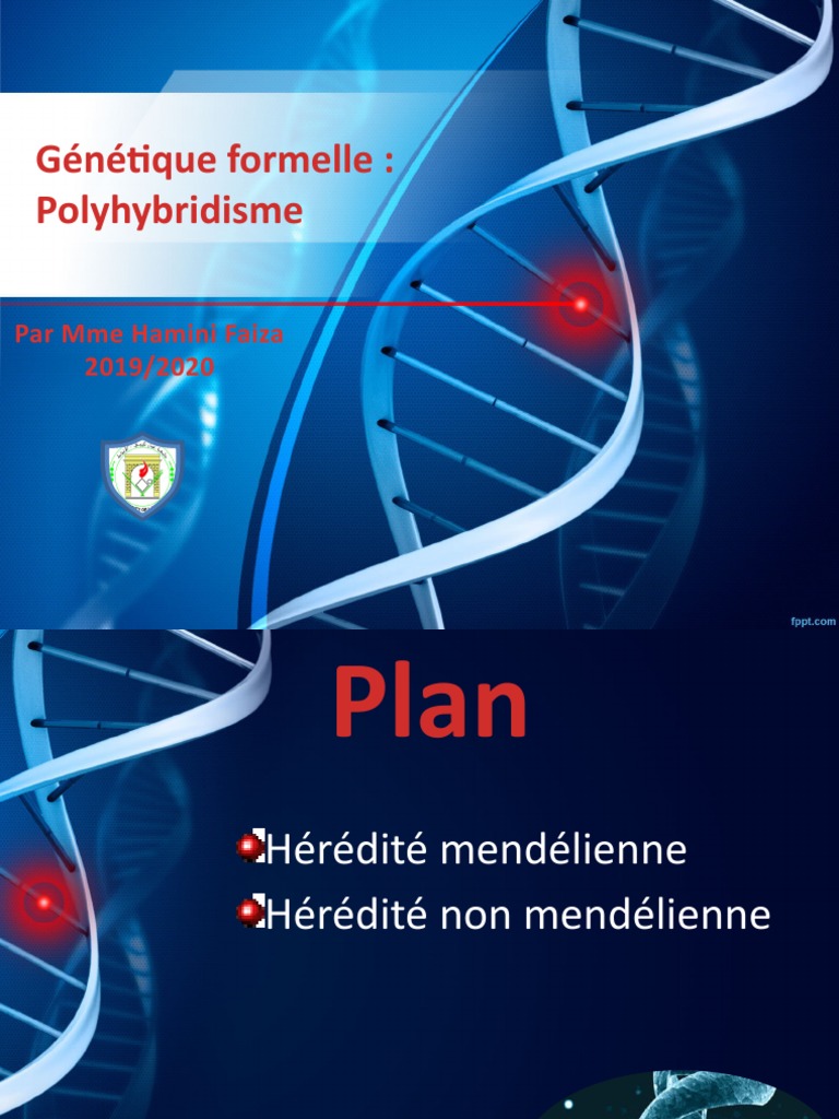 Polyhybridisme en Génétique Formelle | PDF | Biologie de l'évolution ...