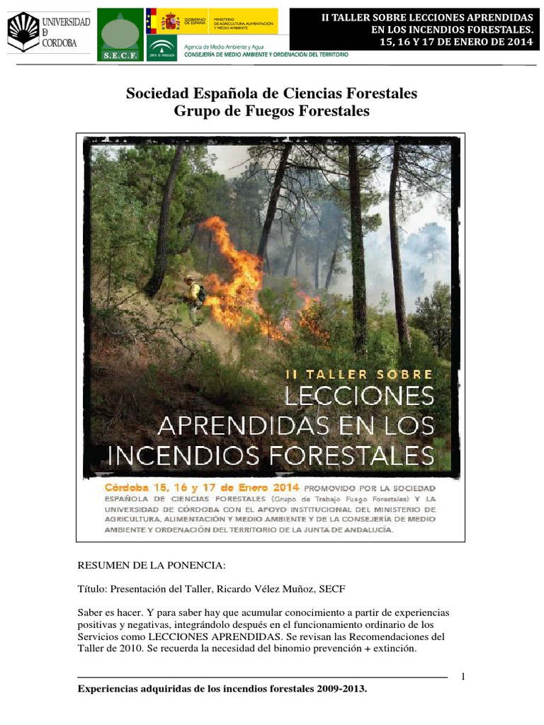Análisis de las lecciones aprendidas de los incendios forestales en ...
