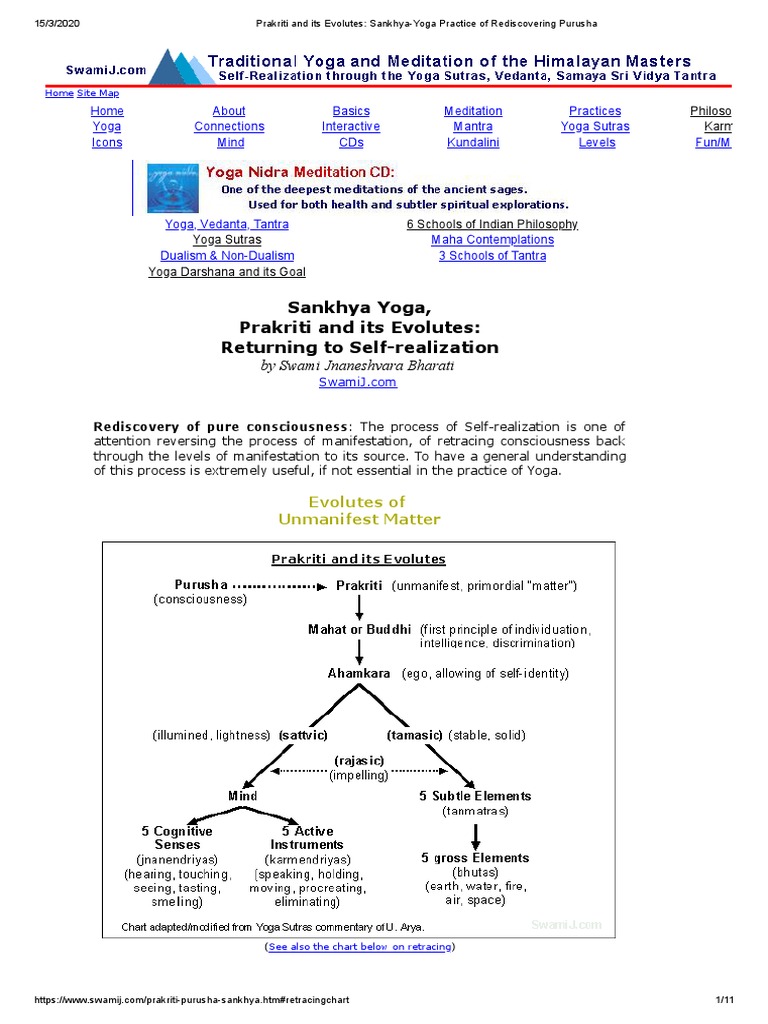 Prakriti and Its Evolutes - Sankhya-Yoga Practice of Rediscovering ...