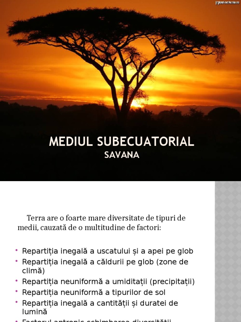 Clima Subecuatoriala | PDF
