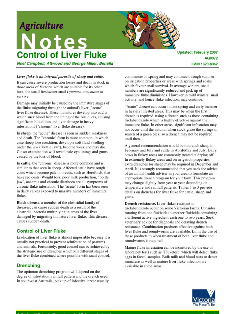 Control of Liver Fluke | PDF | Sheep | Goat