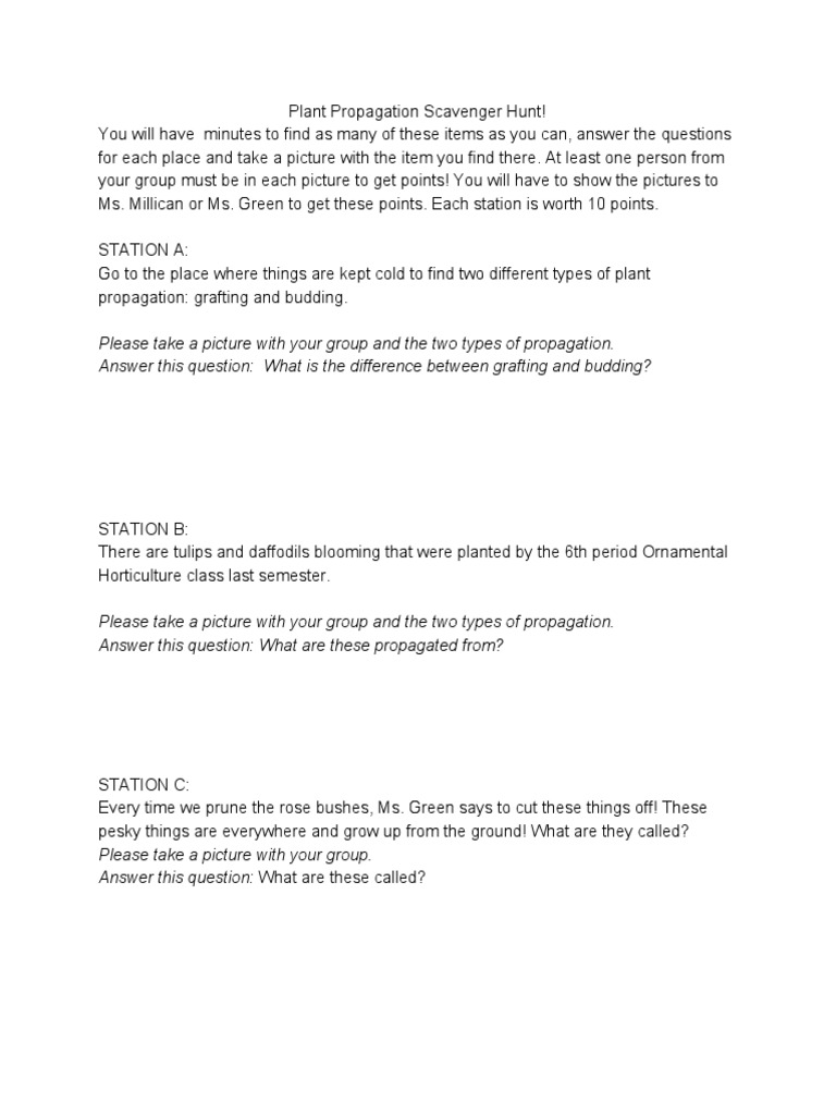 Plant Propagation Scavenger Hunt | PDF | Hobbies | Plants