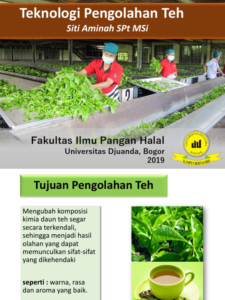 Tek. Pengolahan Teh 2019 | PDF