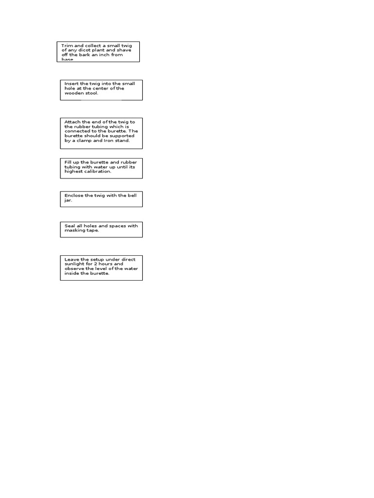 Water Absorption Experiment with Dicot Twig | PDF