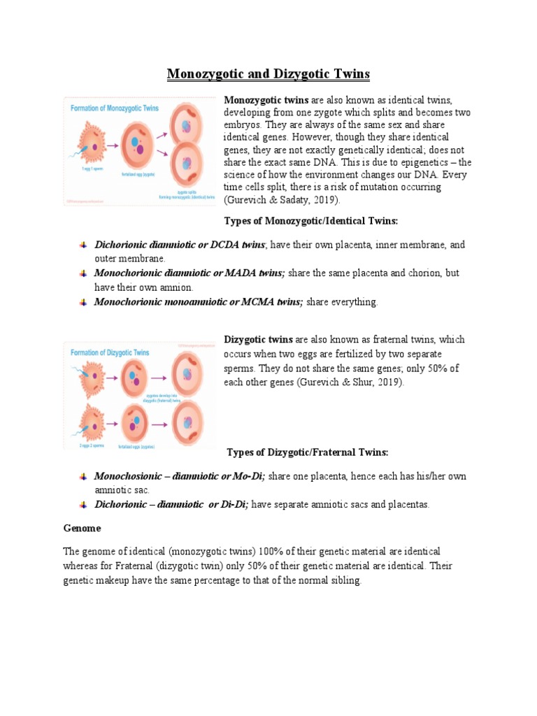 Monozygotic & Dizygotic Twins | PDF | Twin | Biological Processes