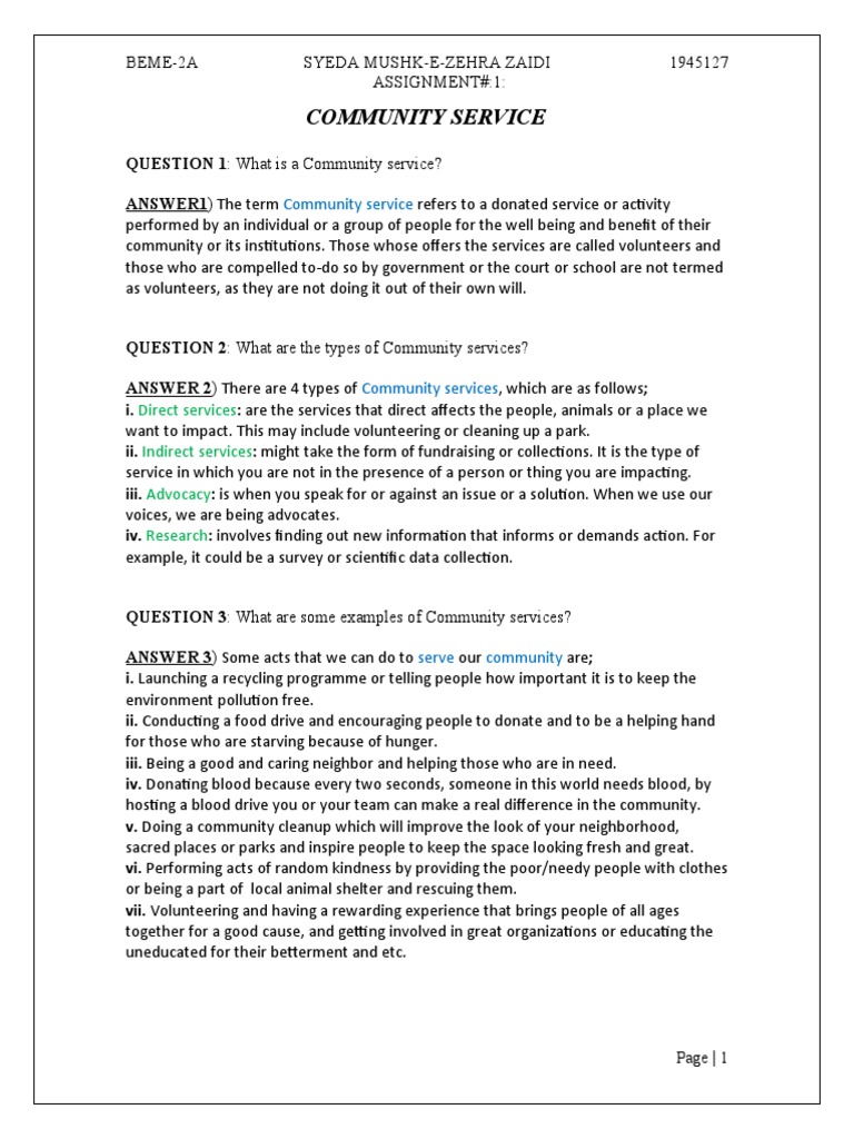 What Is Community Service | PDF | Community | Society