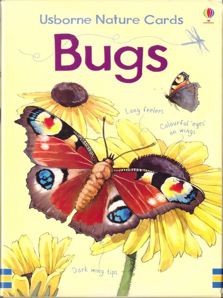 Bugs Usborne Cards Englishare | PDF