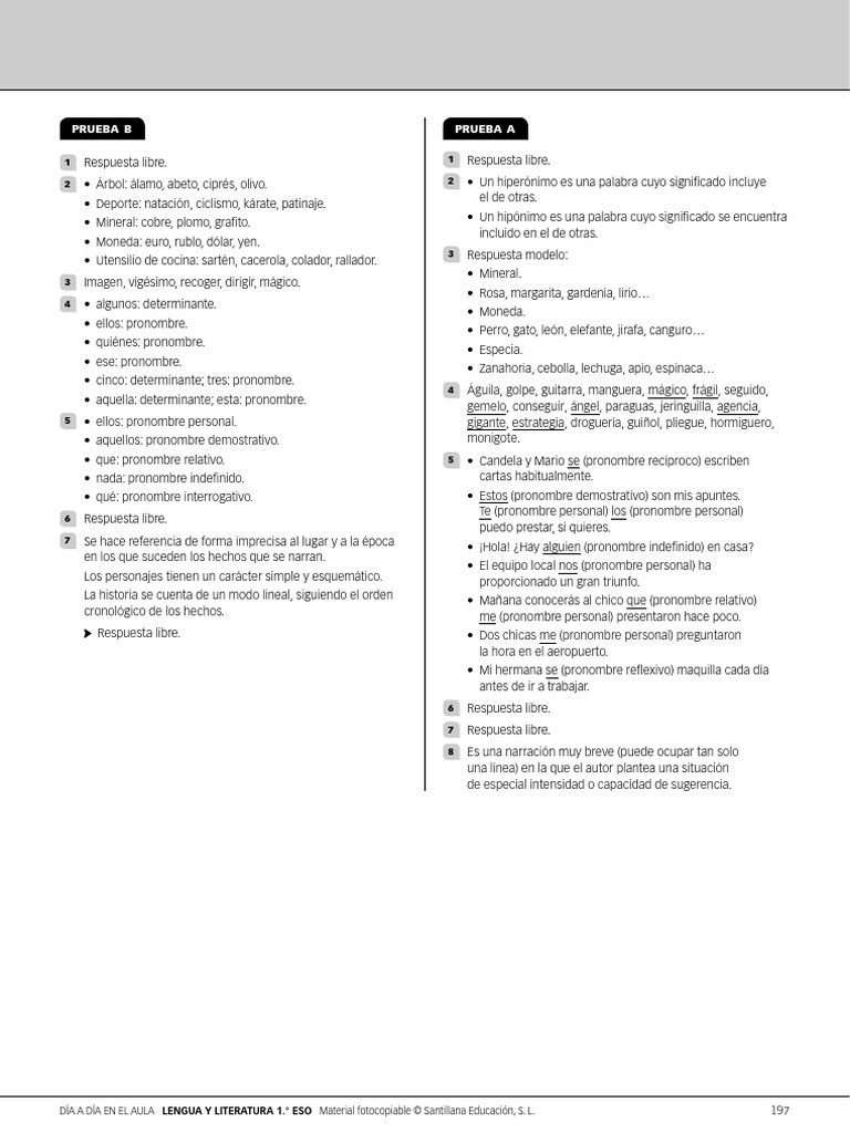 Evaluación-Actividades T6 PDF | PDF | Pronombre | Sintaxis