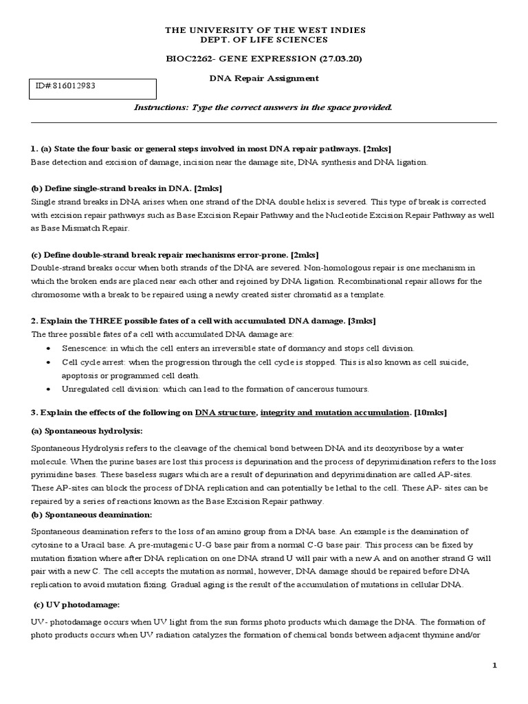 DNA REPAIR Assignment 2020-1 | PDF | Dna Repair | Dna