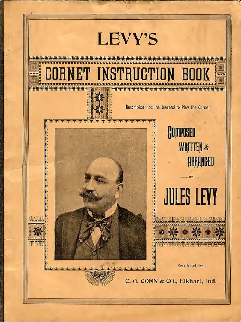 Levy PDF | PDF