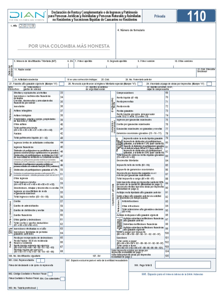Formulario 110 PDF | PDF | Dividendo | Activo intangible