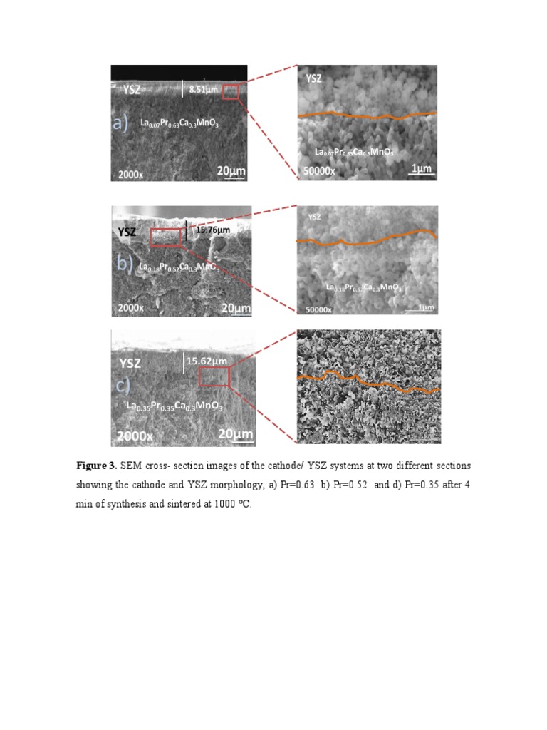 Figure 3. SEM Cross-Section Images of The Cathode/ YSZ Systems at Two ...