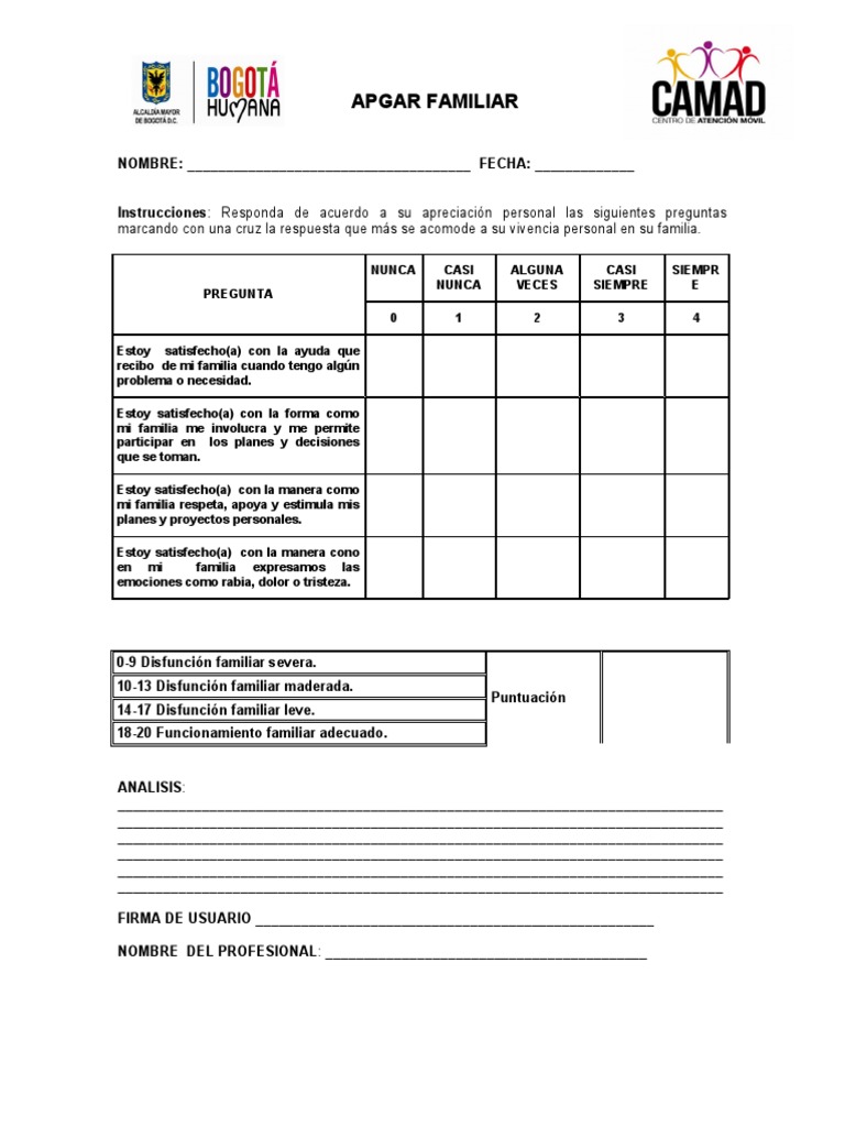 FORMATO #15 Apgar Familiar | PDF
