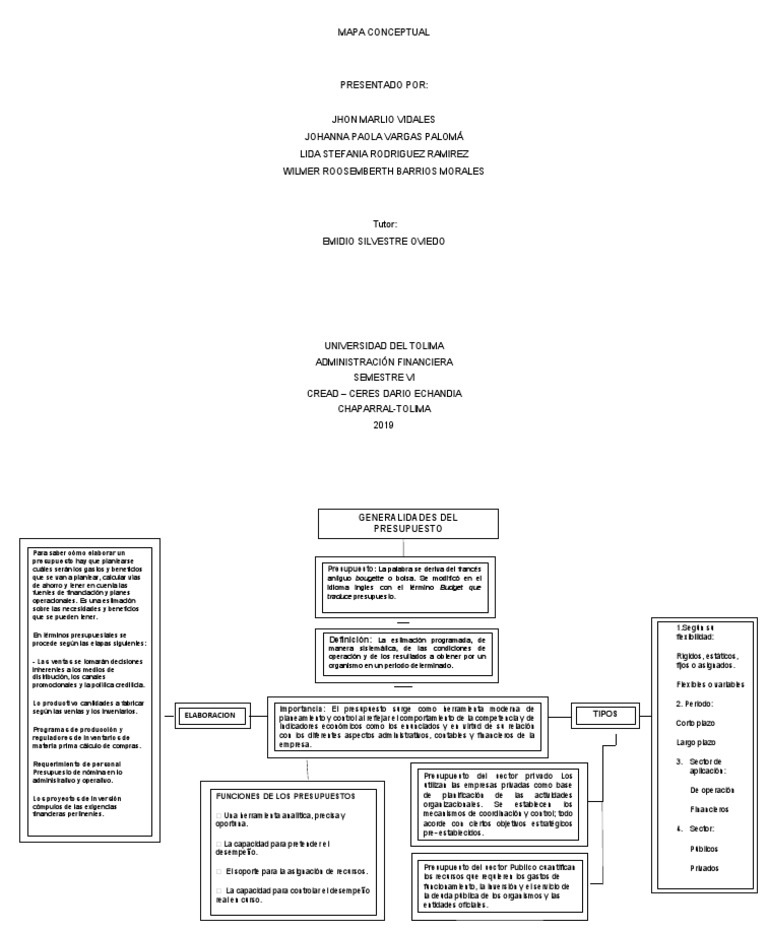 MAPA - Conceptual PRESUPUESTO 1 | PDF | Presupuesto | Economias