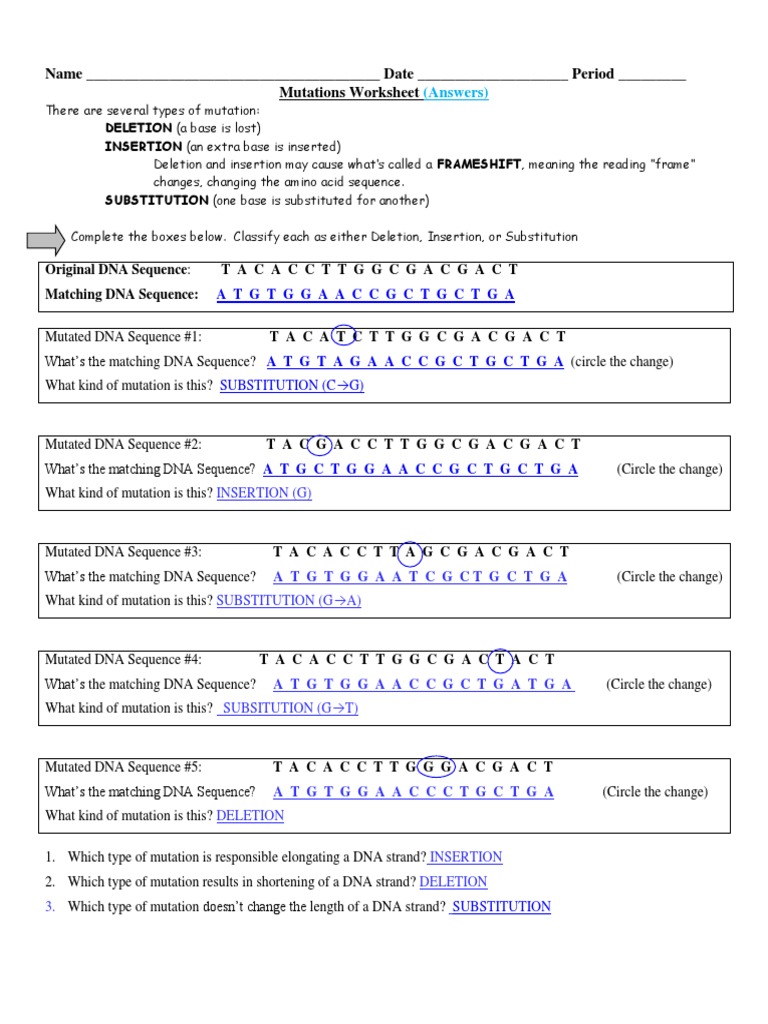 Name - Date - Period - Mutations Worksheet | PDF | Point Mutation | Genetic Code