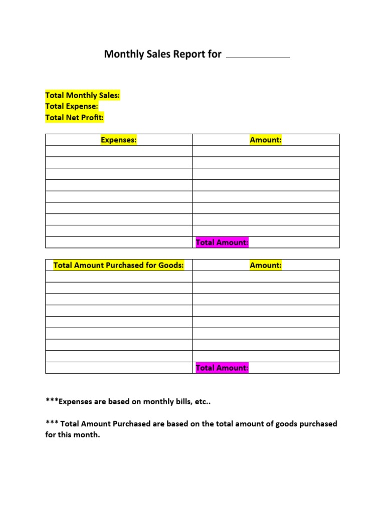 Monthly Sales and Expenses Overview | PDF
