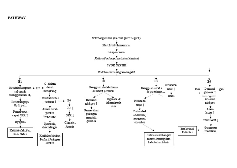 Pathway Syok Septik | PDF