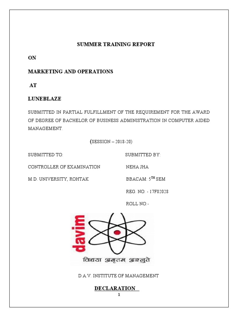 Summer Training Report | PDF | Educational Technology | Literacy