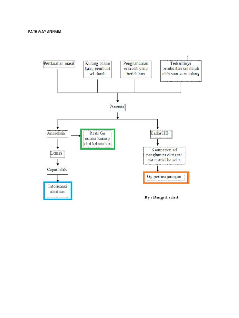 PATHWAY ANEMIA.docx