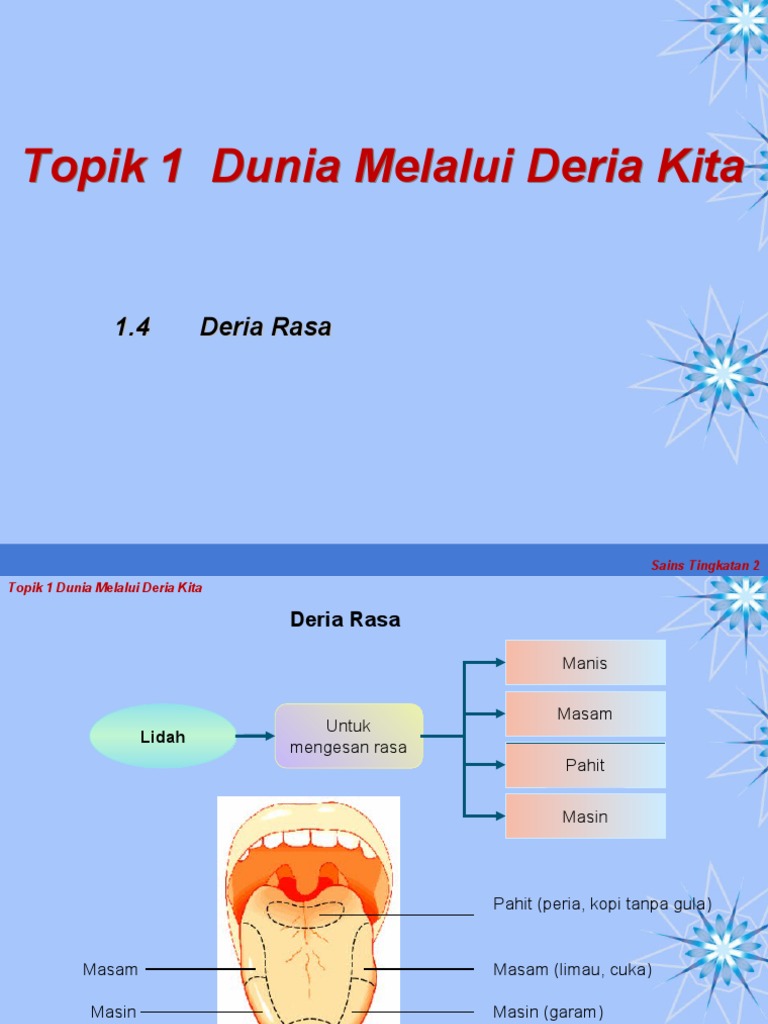 1.4 Deria Rasa | PDF