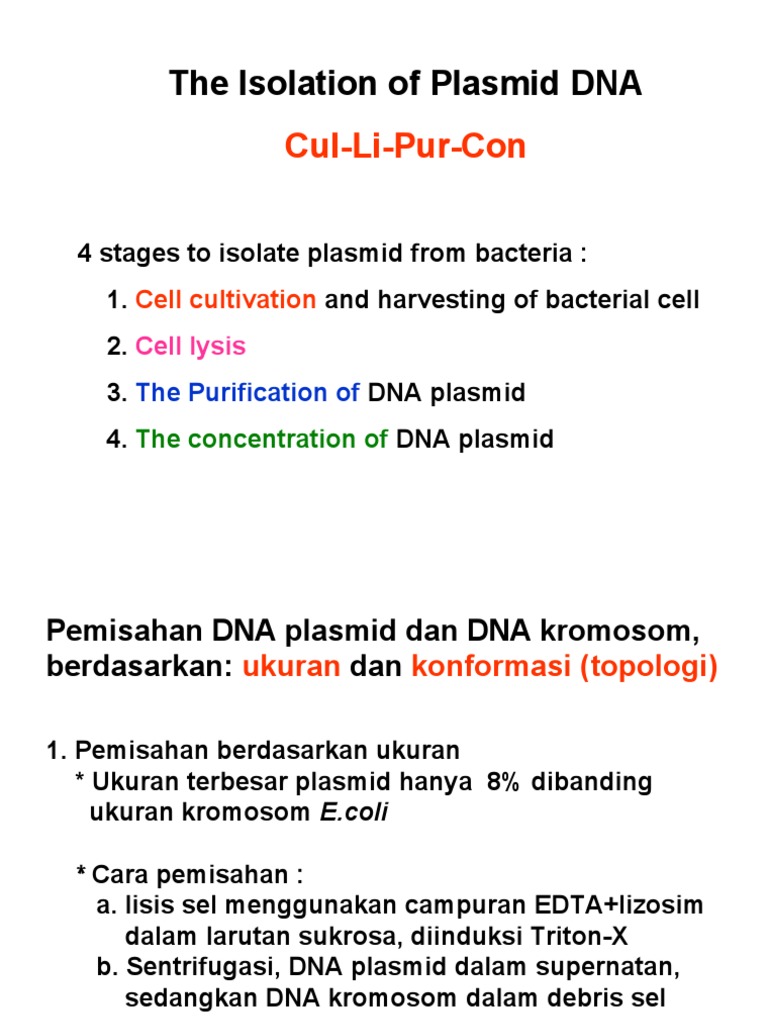 Isolasi DNA Plasmid dari Bakteri | PDF | Sains & Matematika