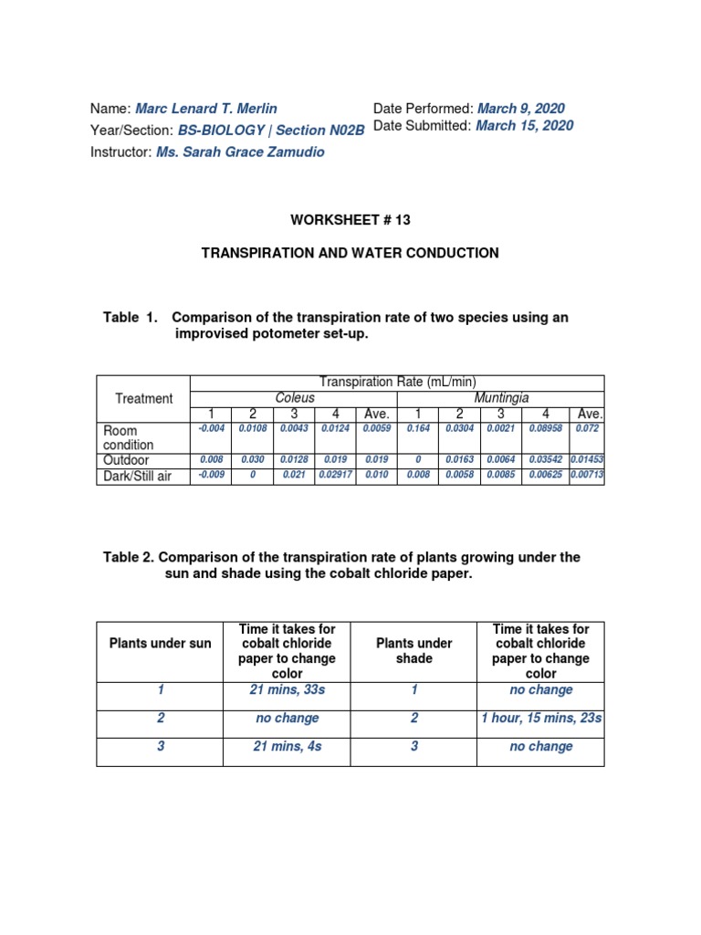 TRANSPIRATION WORKSHEET (With Ans) | PDF | Leaf | Plants