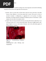 Esophageal Varices: Modified Paquet Classification | PDF | Esophagus ...