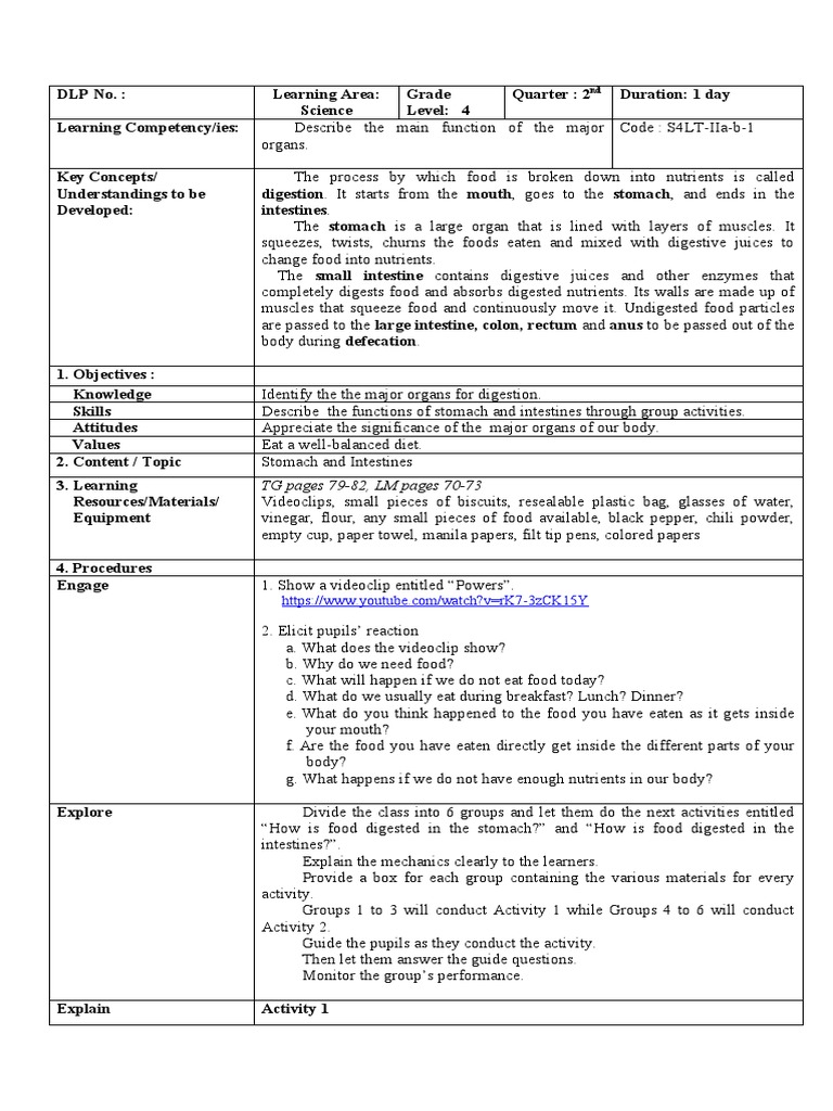 Lesson Plan On Digestion in Stomach and Intestines Grade 4 | PDF ...