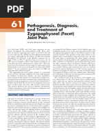 Scottie Dog Sign | PDF | Vertebra | Skeletal System