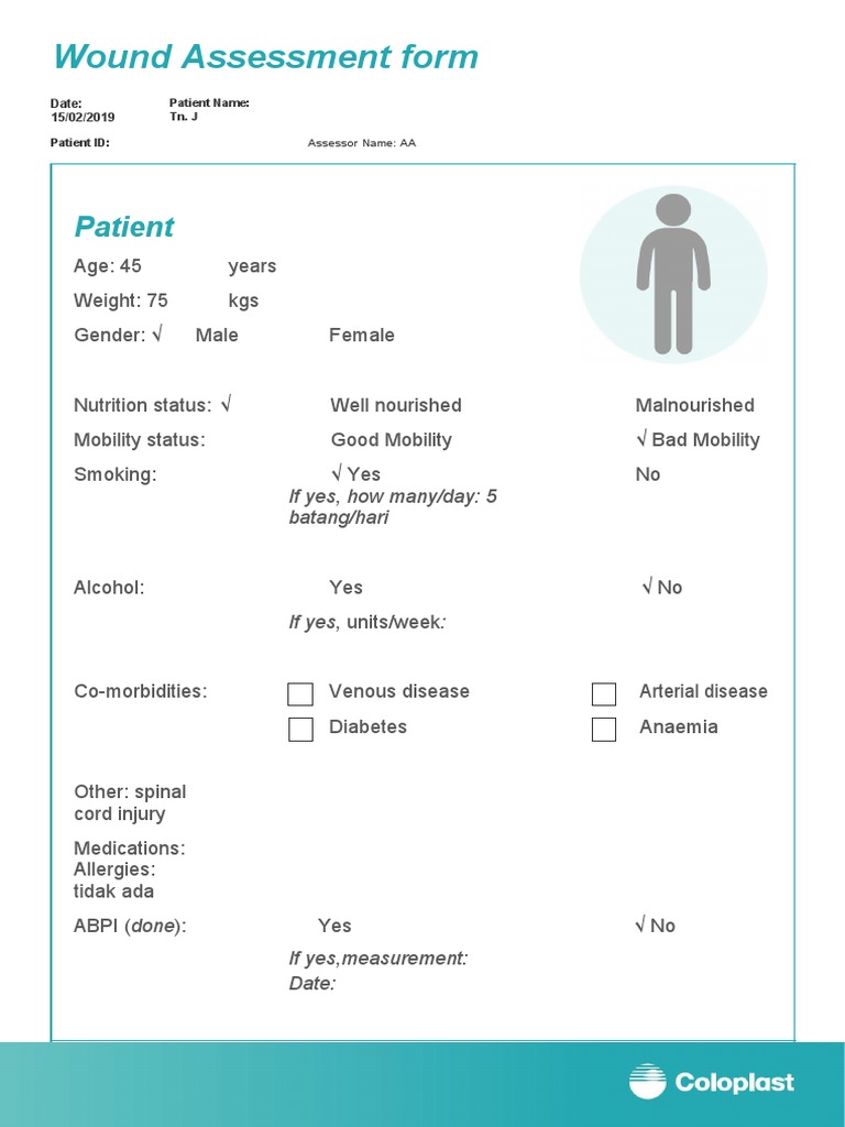 CPWSC - Triangle - Wound Assesment A4 - 5-Pages - INTERACTIVE | PDF ...