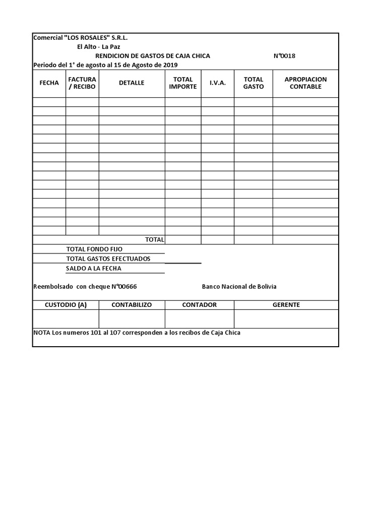 Formato Rendicion Caja Chica | PDF