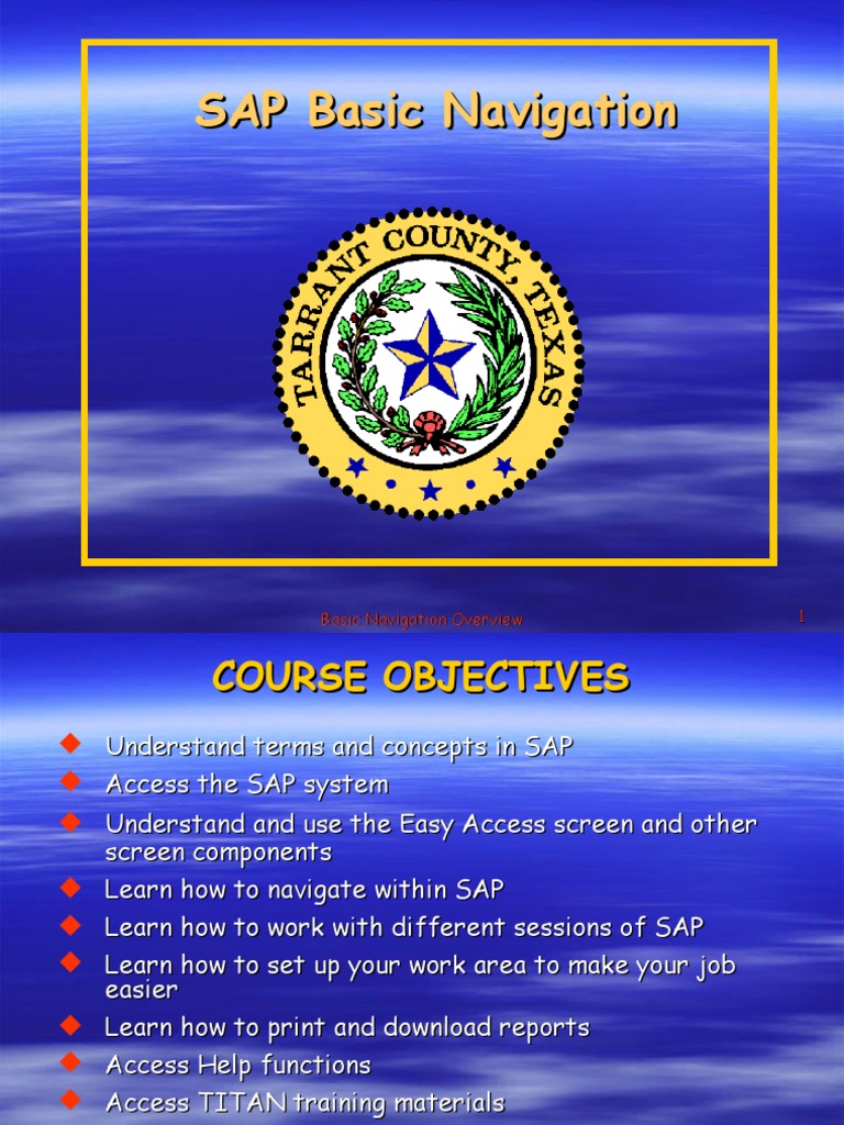 SAP Basic Navigation Training Guide | PDF | Microsoft Excel | Icon ...
