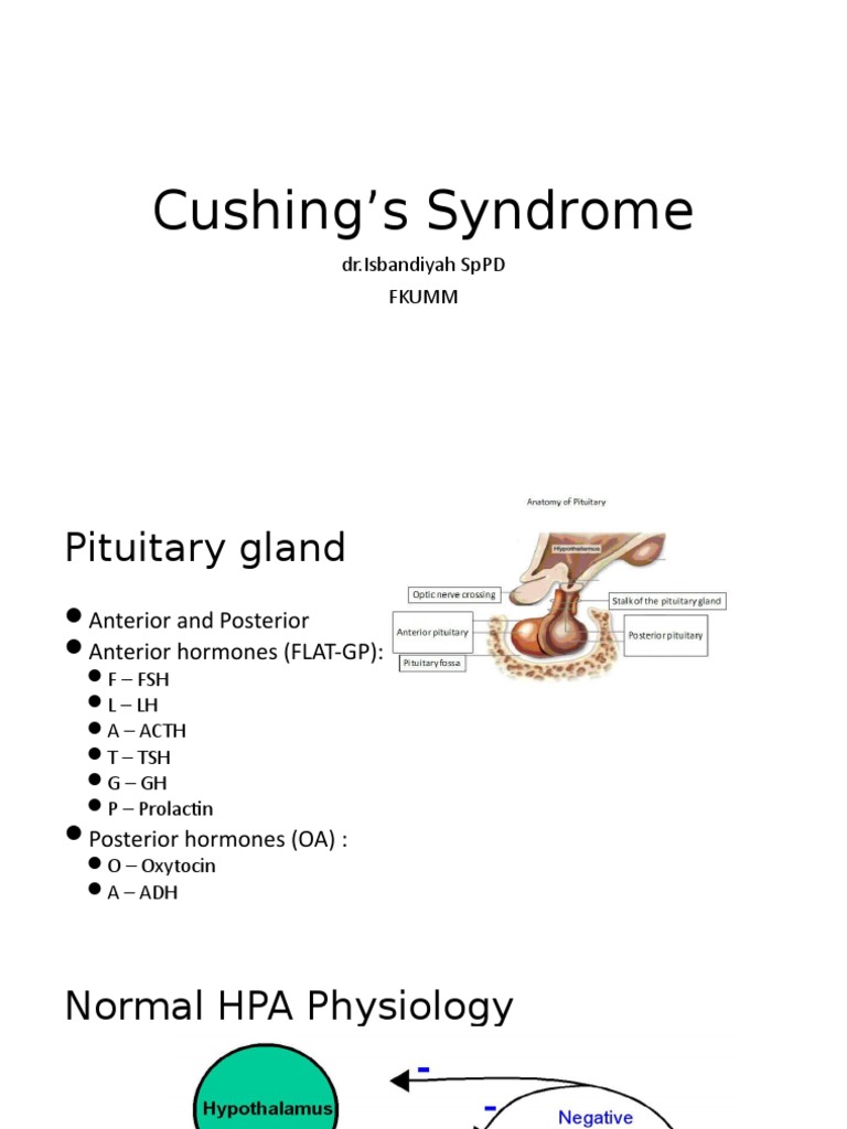 Cushing'S Syndrome: DR - Isbandiyah SPPD Fkumm | PDF