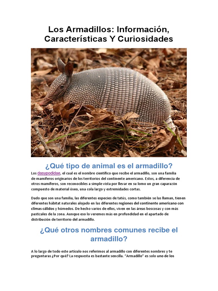 Toda La Información Sobre Los Armadillos (Que comen, Donde viven, Características y Mucho Más ...