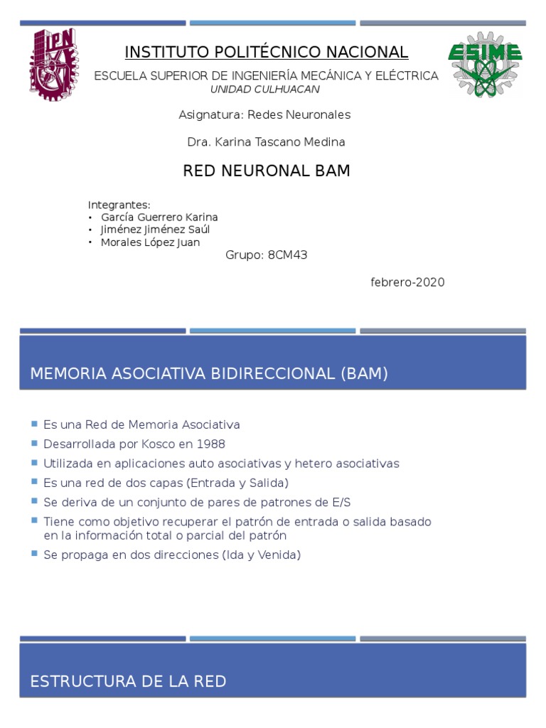 Red BAM | PDF | Red neuronal artificial | Neurona