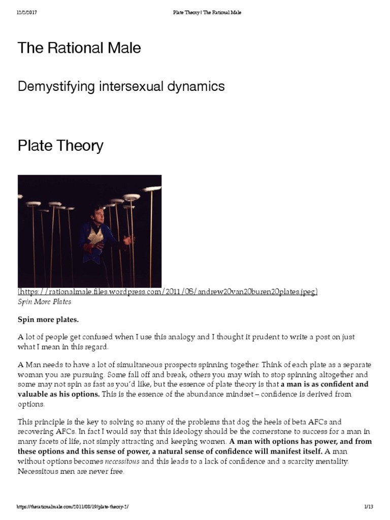 Spinning Spin Plate Theory - The Rational Male | PDF | Theory ...