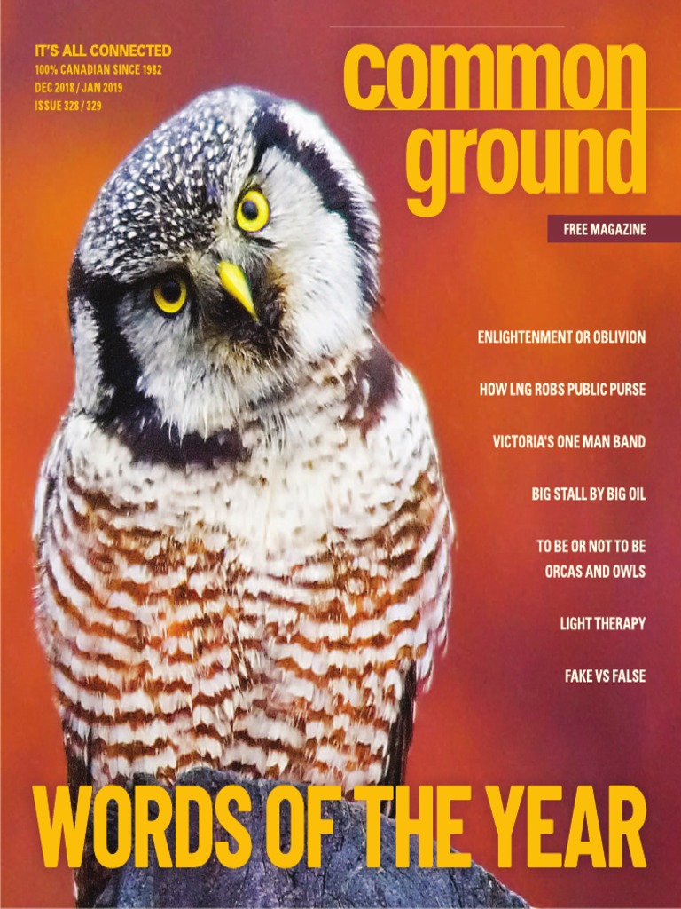 CG328 2018-12/2019-01 Common Ground Magazine | PDF | Diabetes | Nature