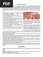 Inserto Esfinto Plus | PDF | Medicina CLINICA | Especialidades Medicas