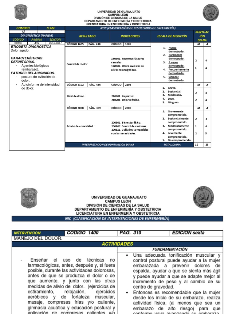 Noc y Nic. Dolor Agudo | PDF | El embarazo | Medicina CLINICA