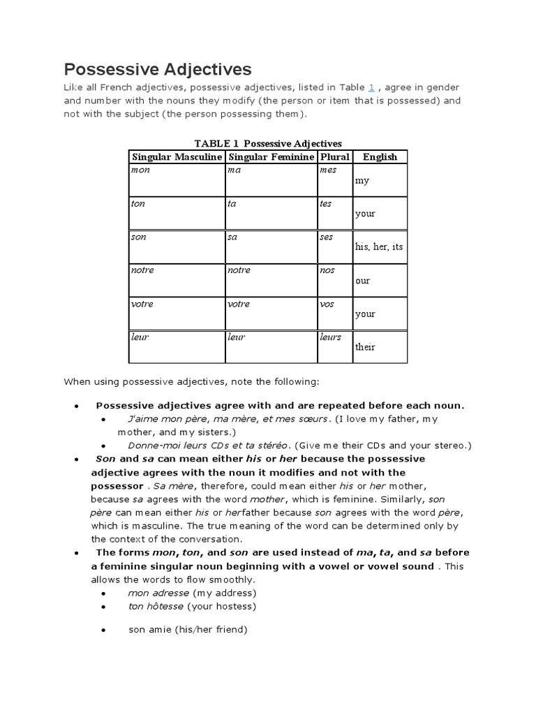 French Possessive Adjectives Guide | PDF | Grammatical Gender ...