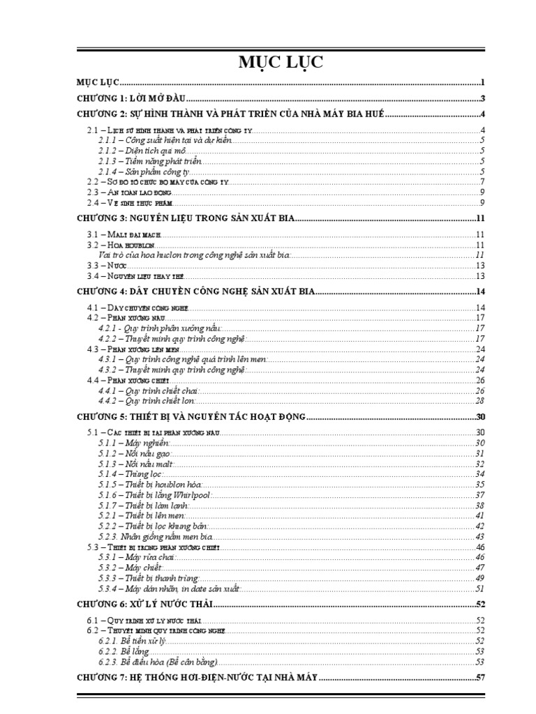 TTTN Nhamay Bia Hue | PDF