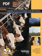Nutritional Analysis of Corn Products | PDF