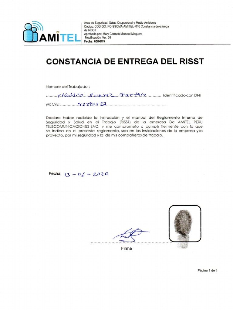 Constancia de Entrega de Risst | PDF