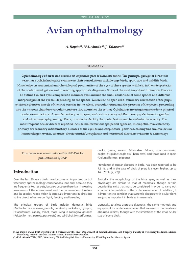 Avian Ophthalmology: A. Bayón, RM. Almela, J. Talavera | PDF | Human Eye | Visual System