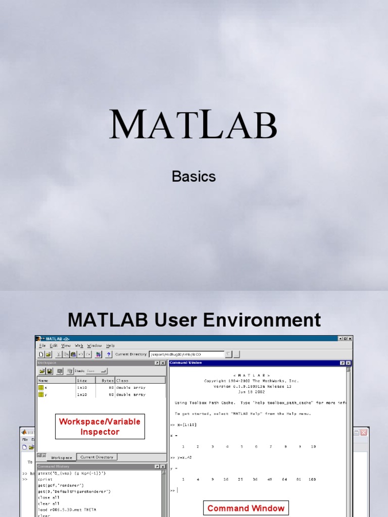 MATLAB Basics | PDF | Matrix (Mathematics) | Computer Data