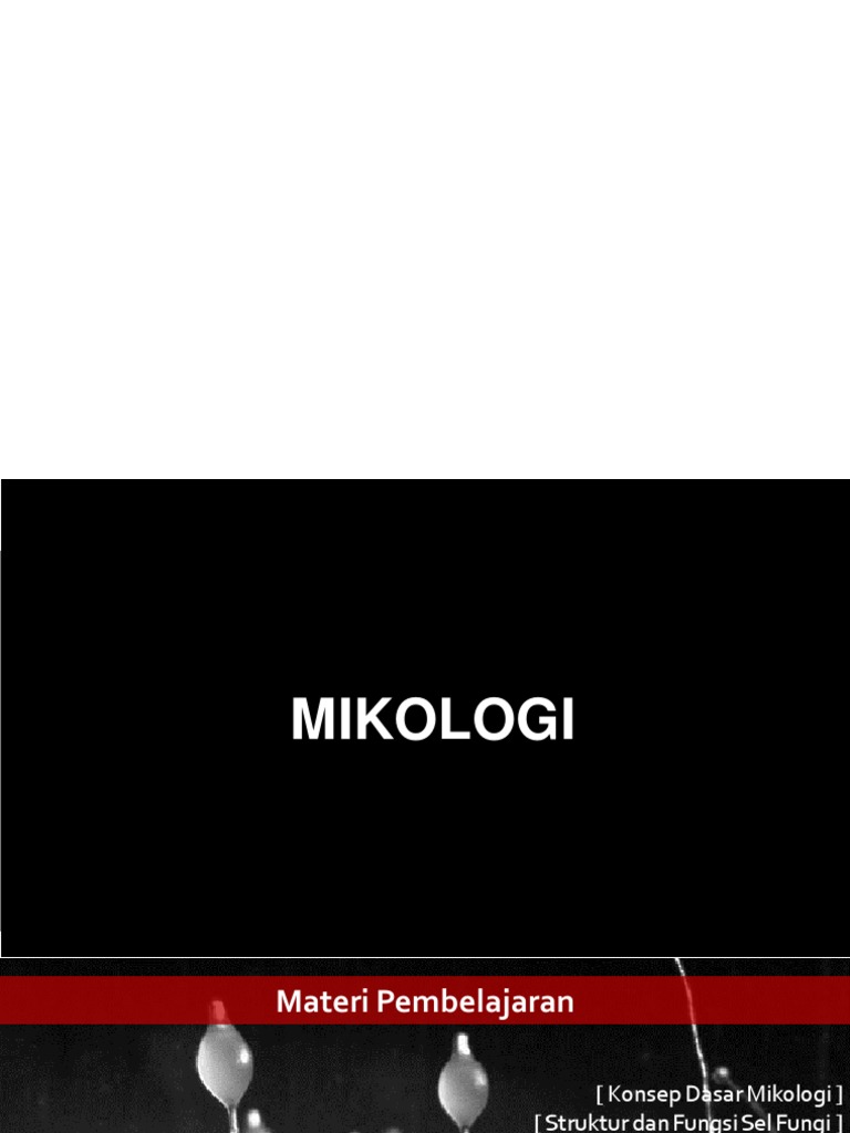 Presentation 1 | PDF