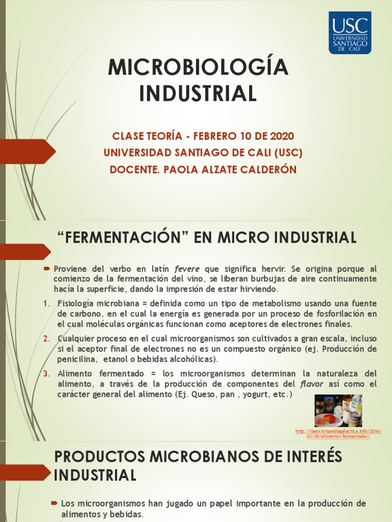 Micro Industrial CLASE 2 Febrero 10 | PDF | Cerveza | Vino