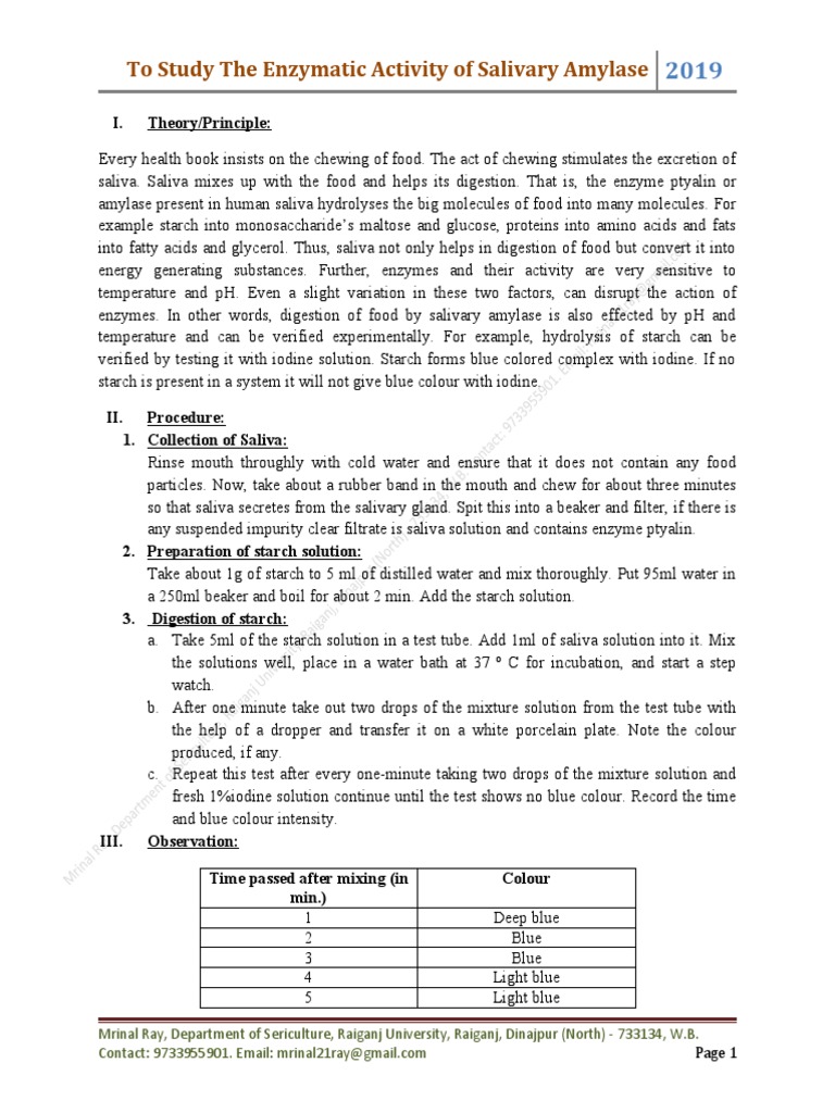 Salivary Amylase Test | PDF | Saliva | Digestion