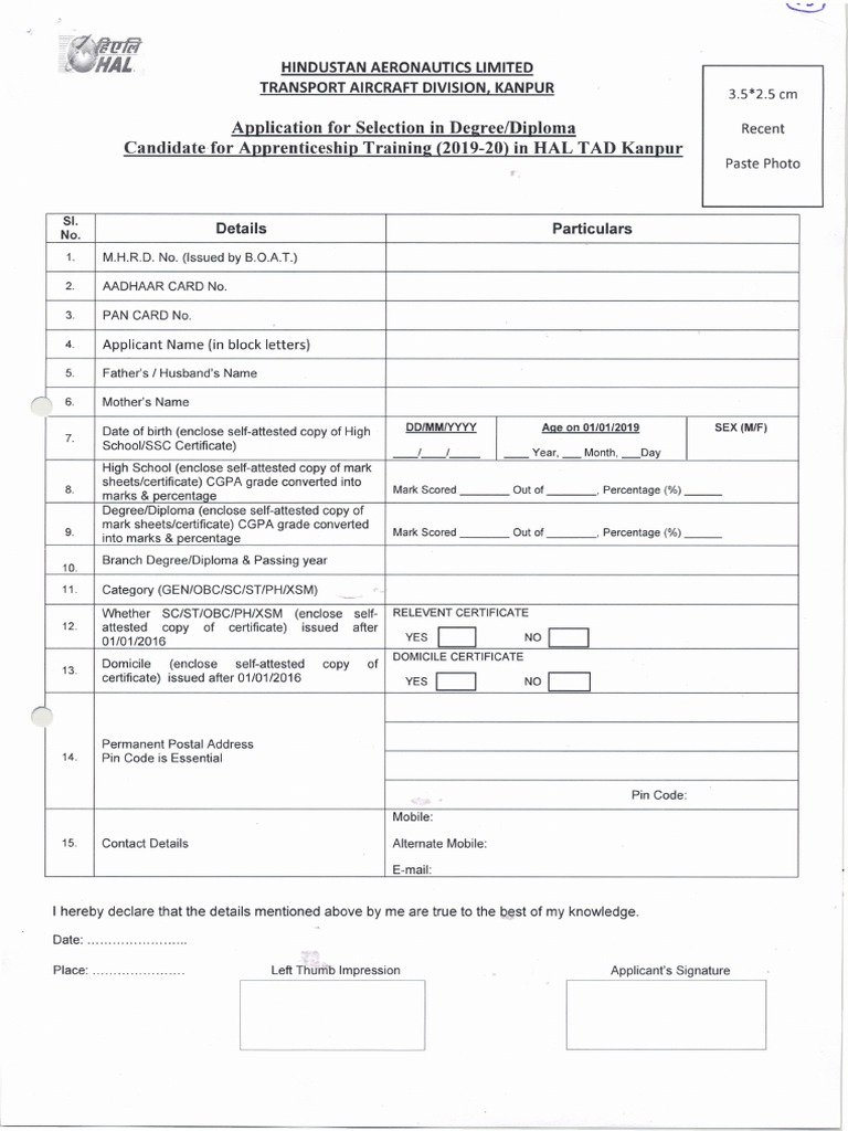Hal 2019 Form PDF | PDF | Business